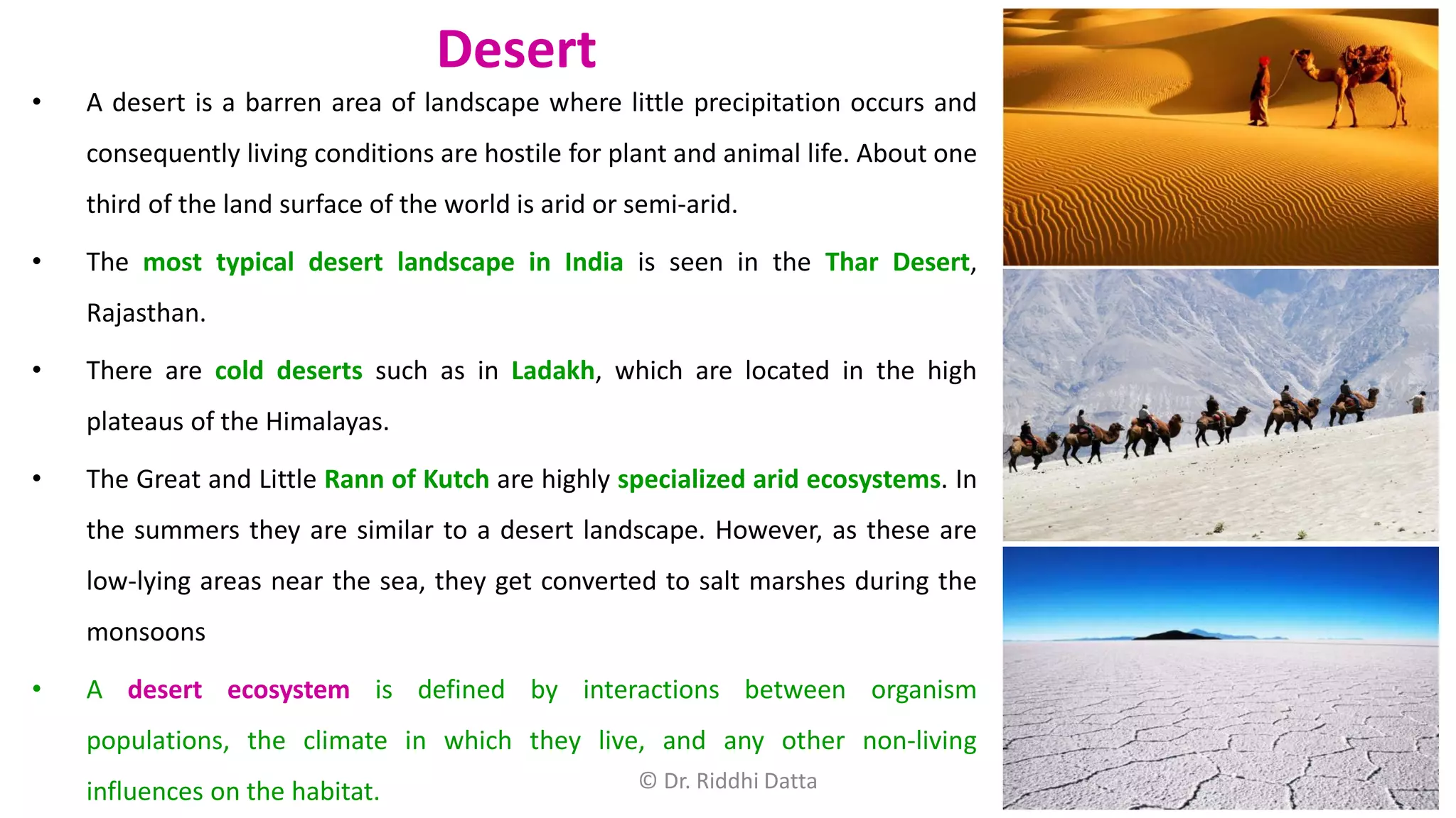 Types of Ecosystems | PDF