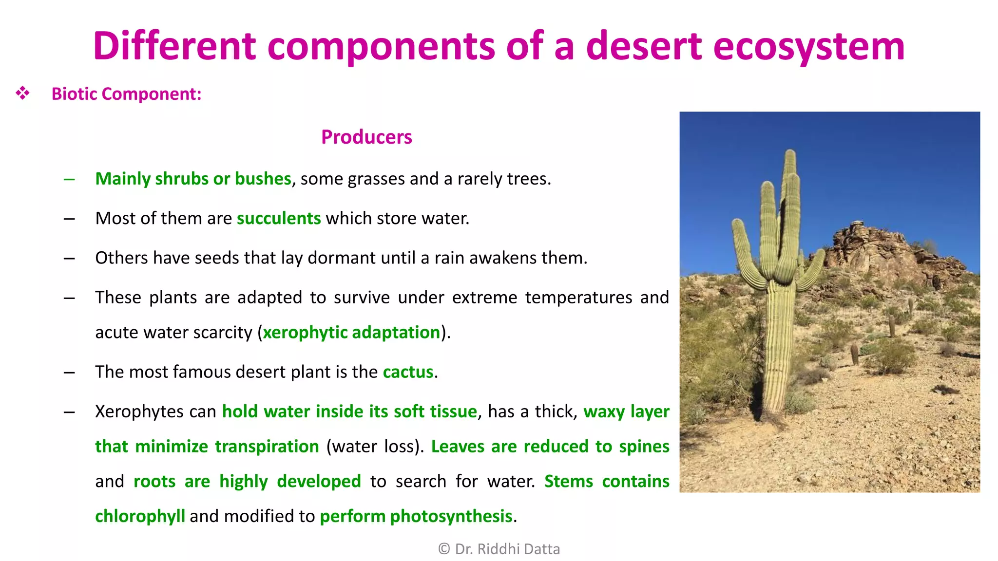Types of Ecosystems | PDF | Geography | Science