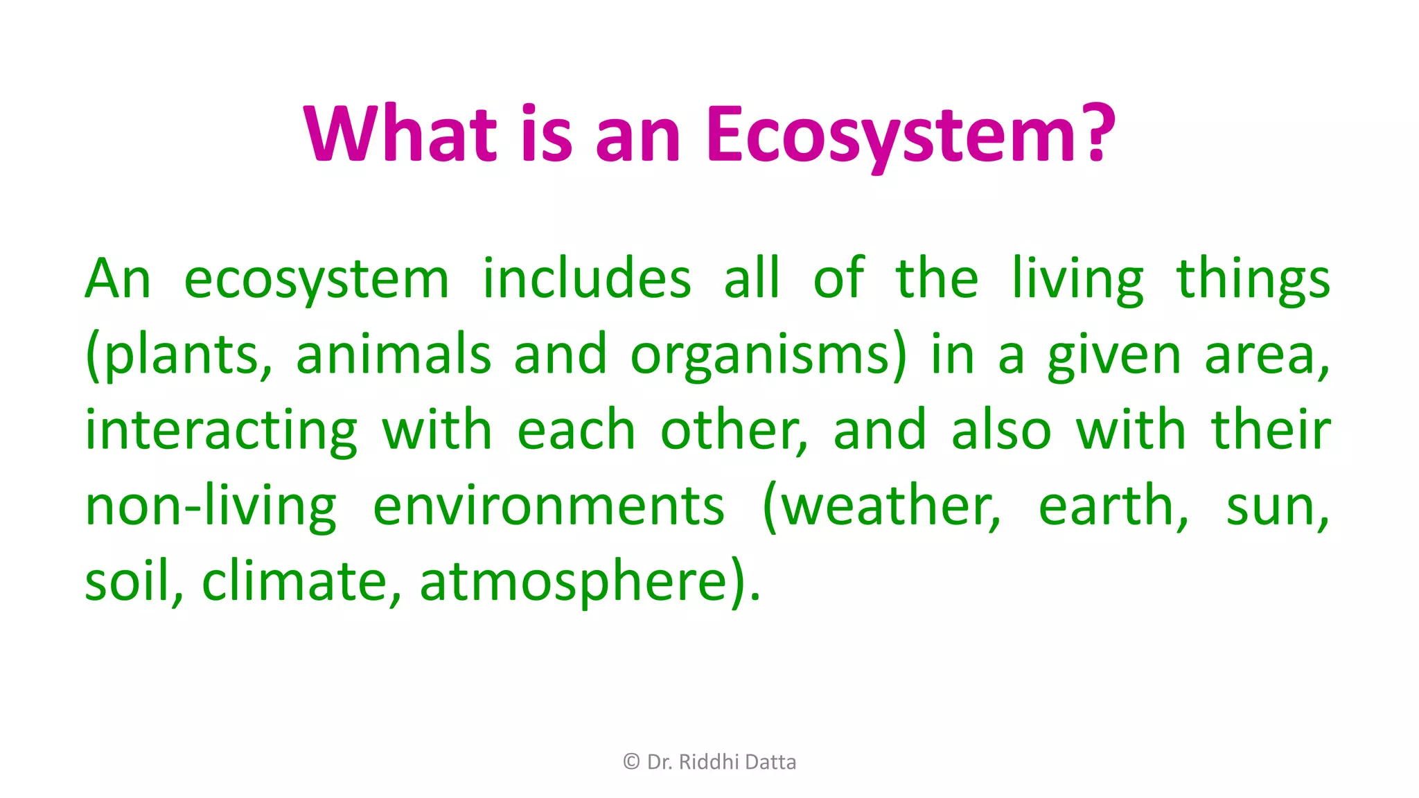 Types of Ecosystems | PDF