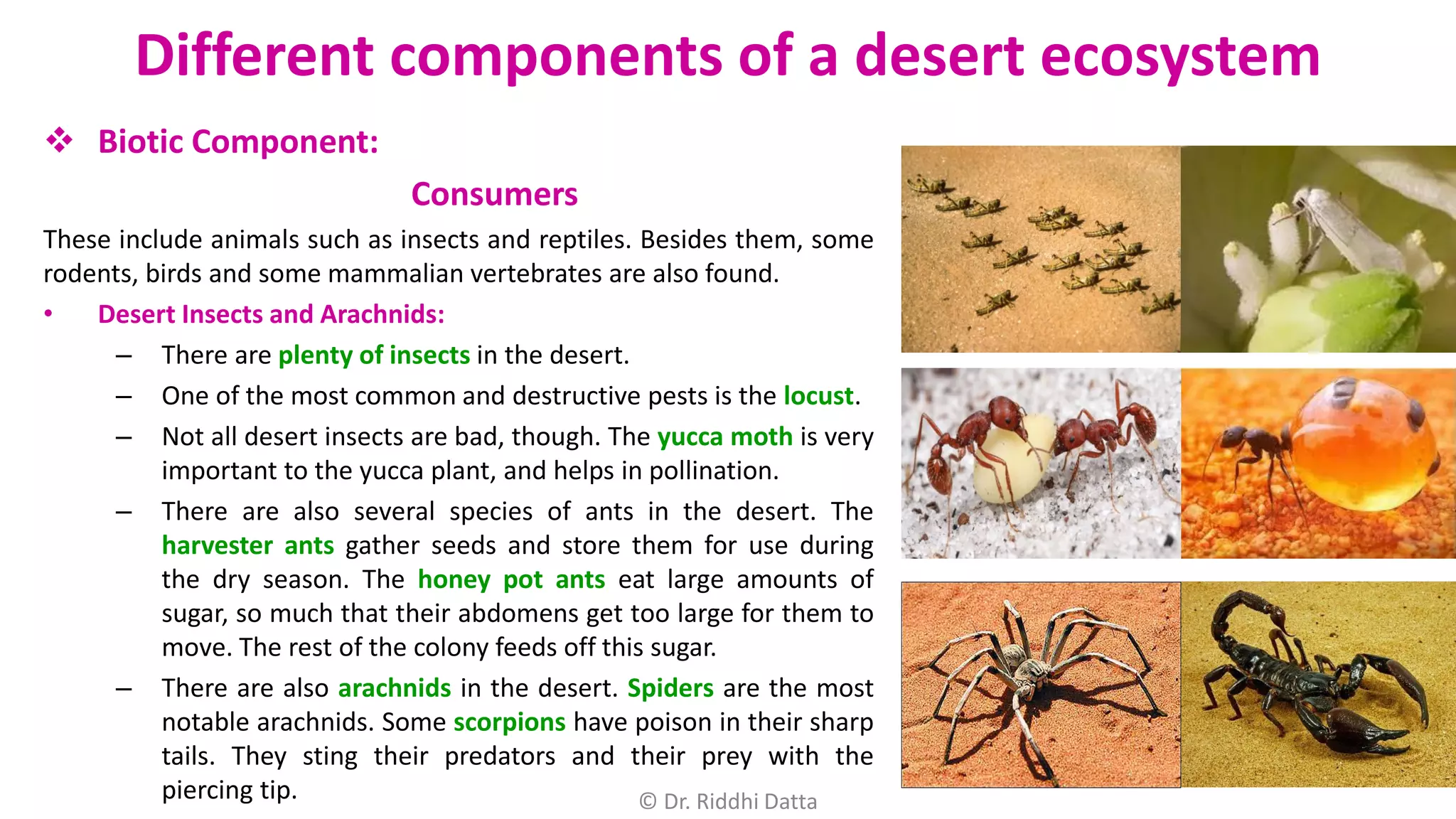 Types of Ecosystems | PDF | Geography | Science