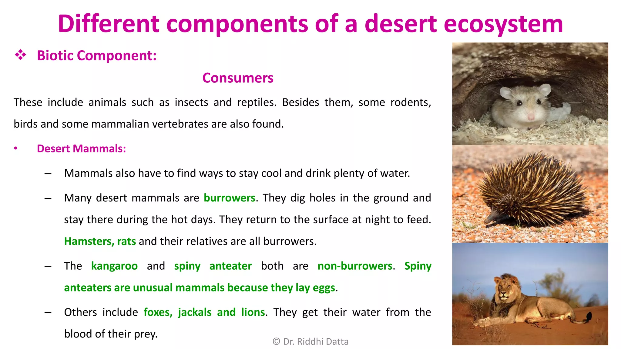 Types of Ecosystems | PDF