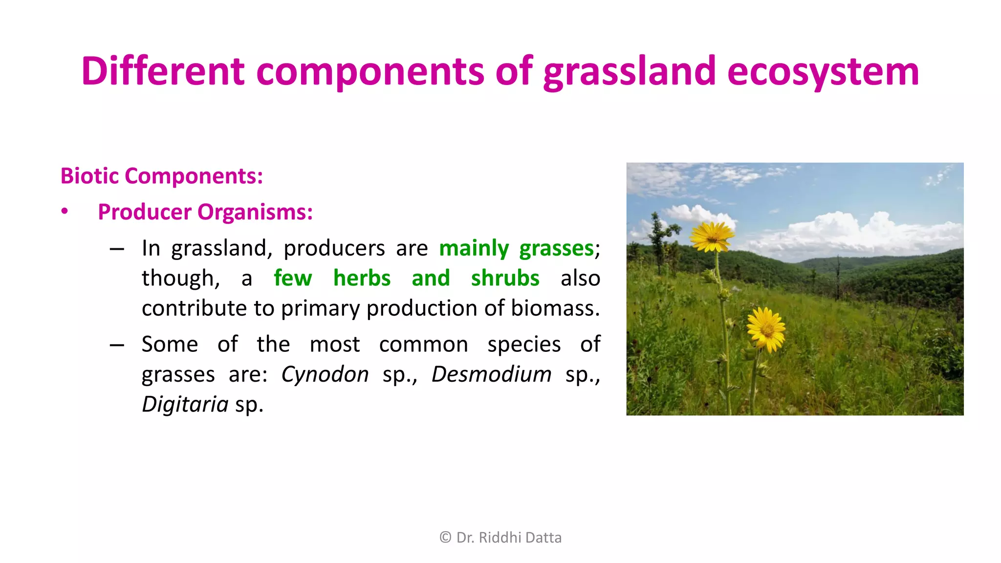Types of Ecosystems | PDF | Geography | Science