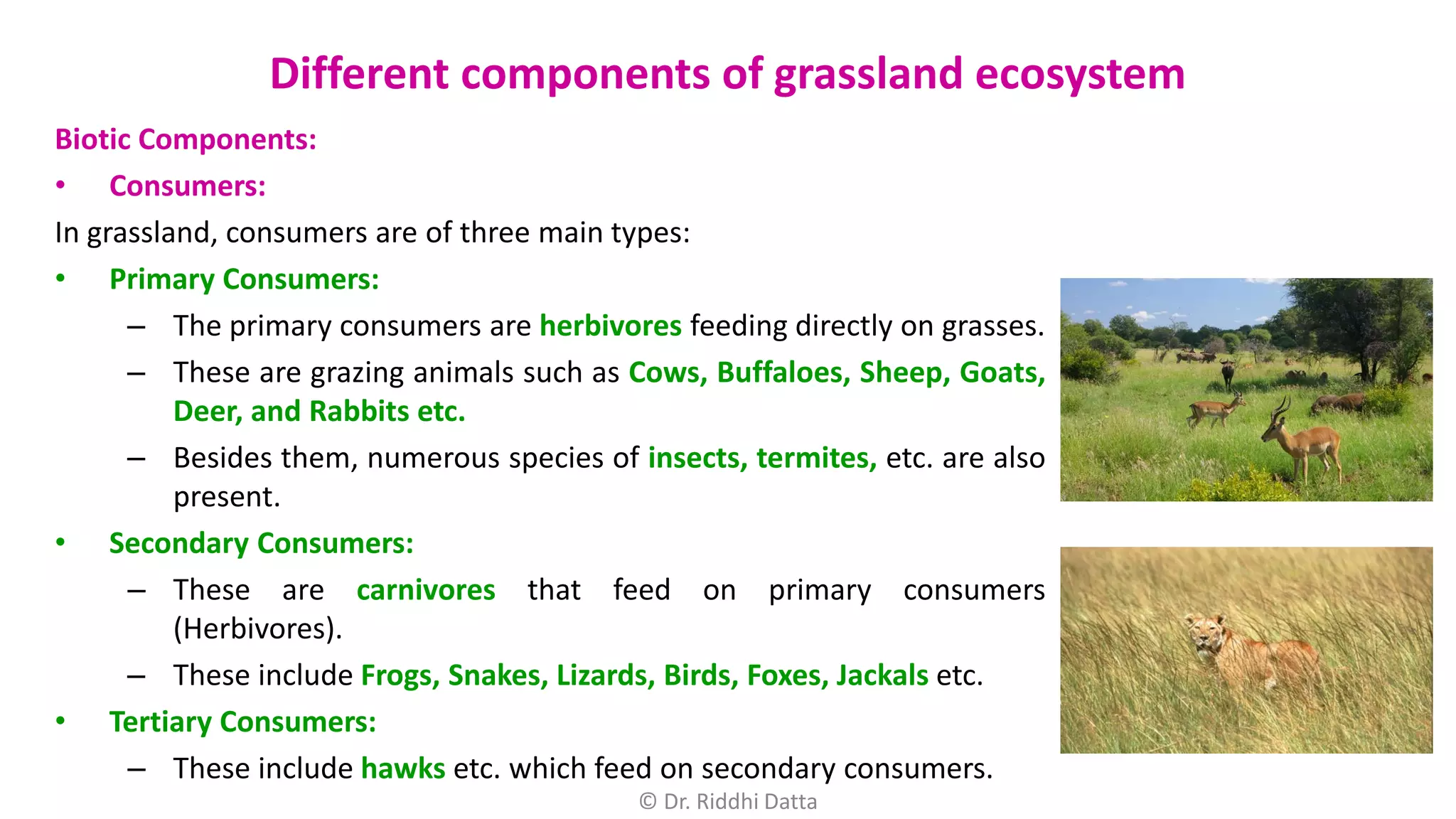 Types of Ecosystems | PDF