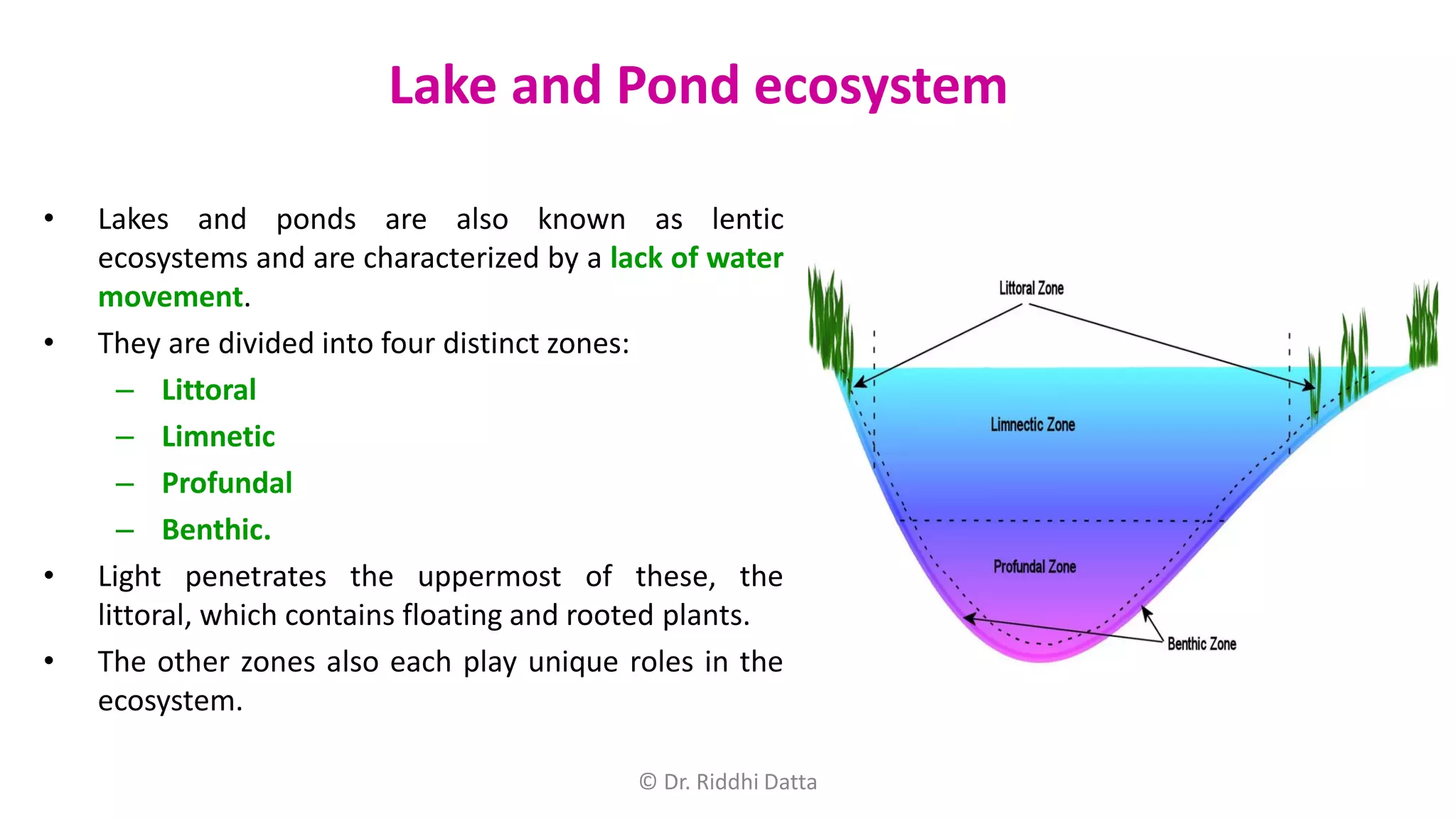 Types of Ecosystems | PDF