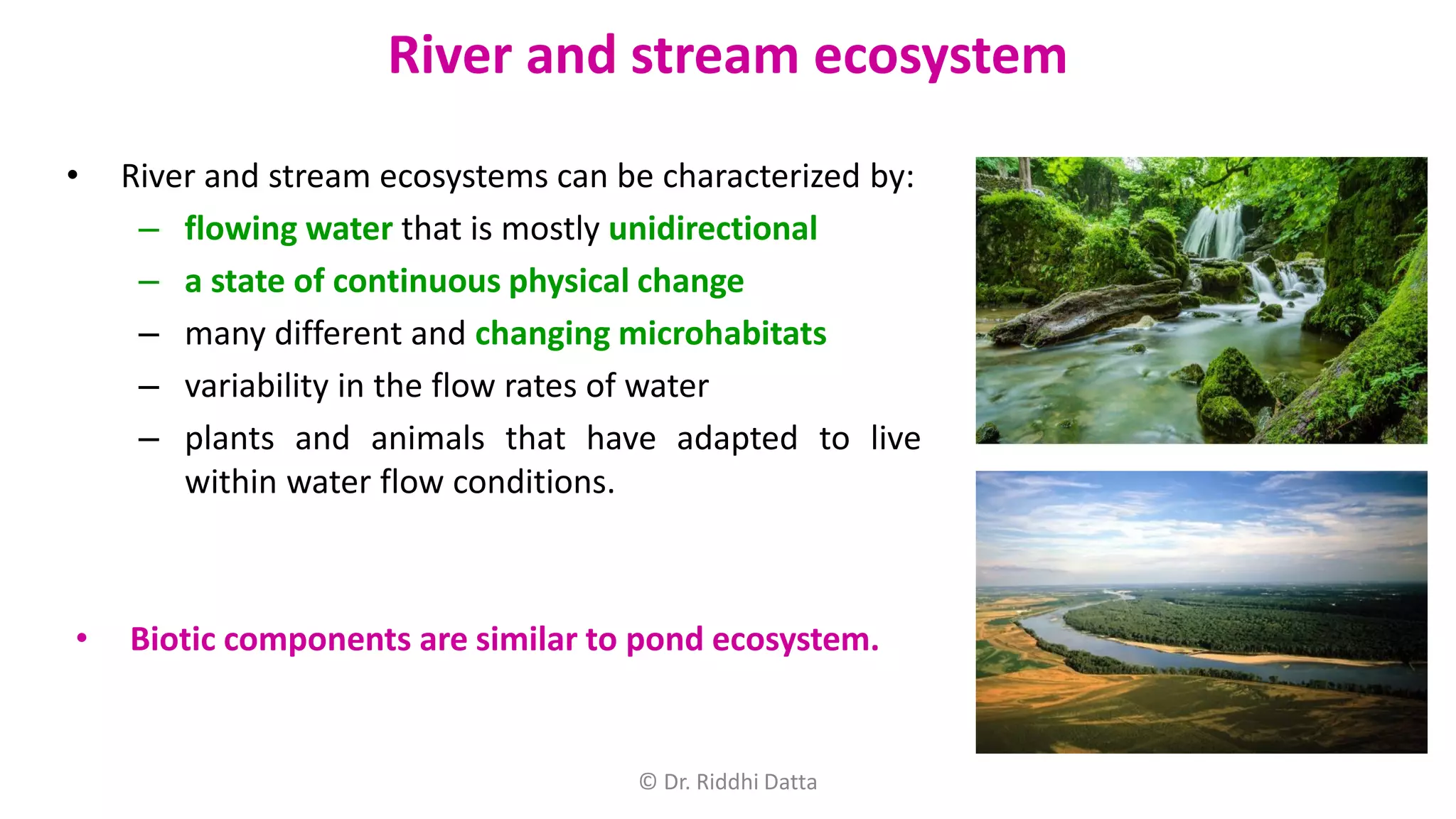 Types of Ecosystems | PDF