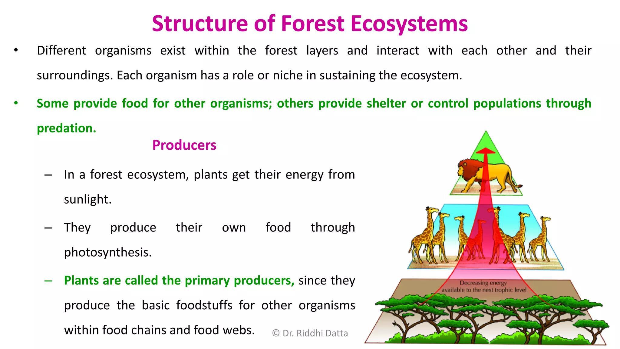 Types of Ecosystems | PDF | Geography | Science
