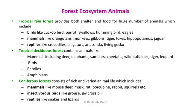 Types of Ecosystems | PDF | Geography | Science