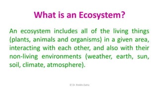 Types of Ecosystems | PDF