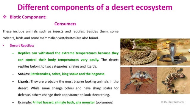 Types of Ecosystems | PDF | Geography | Science