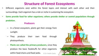 Types of Ecosystems | PDF