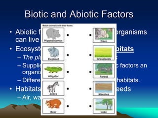 Ecosystems.ppt