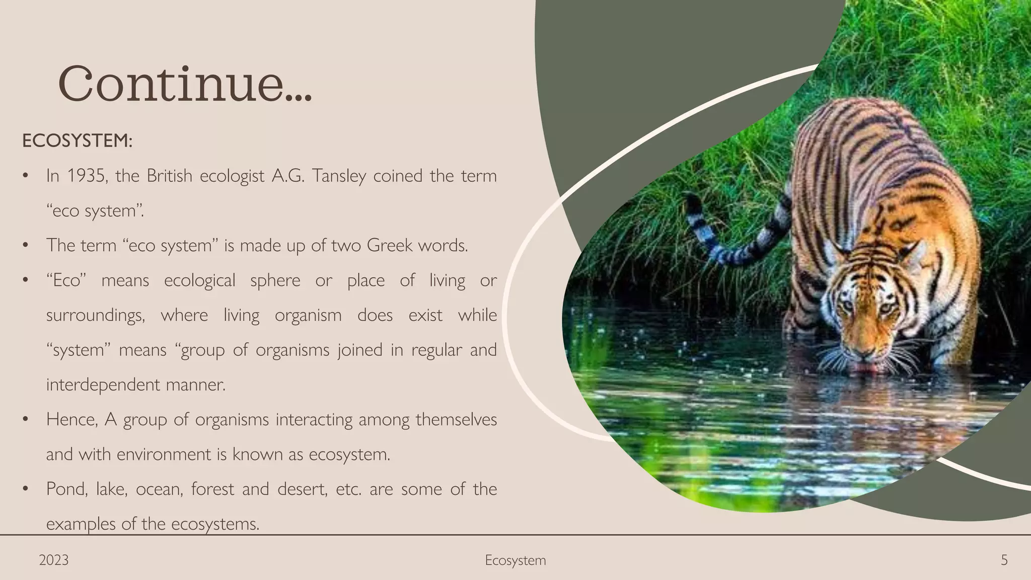 Ecosystems.pdf by Jeel Dobariya | PDF