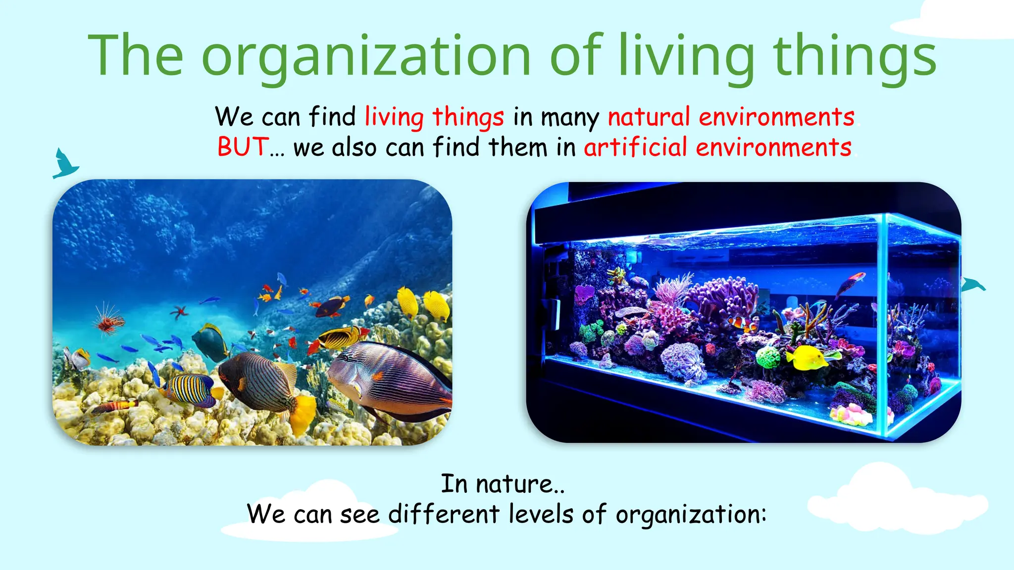 Ecosystems and living things in our world | PPT