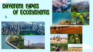 Ecosystems and living things in our world | PPT