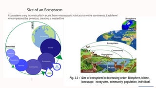 Ecosystems and their types in Environment.pptx