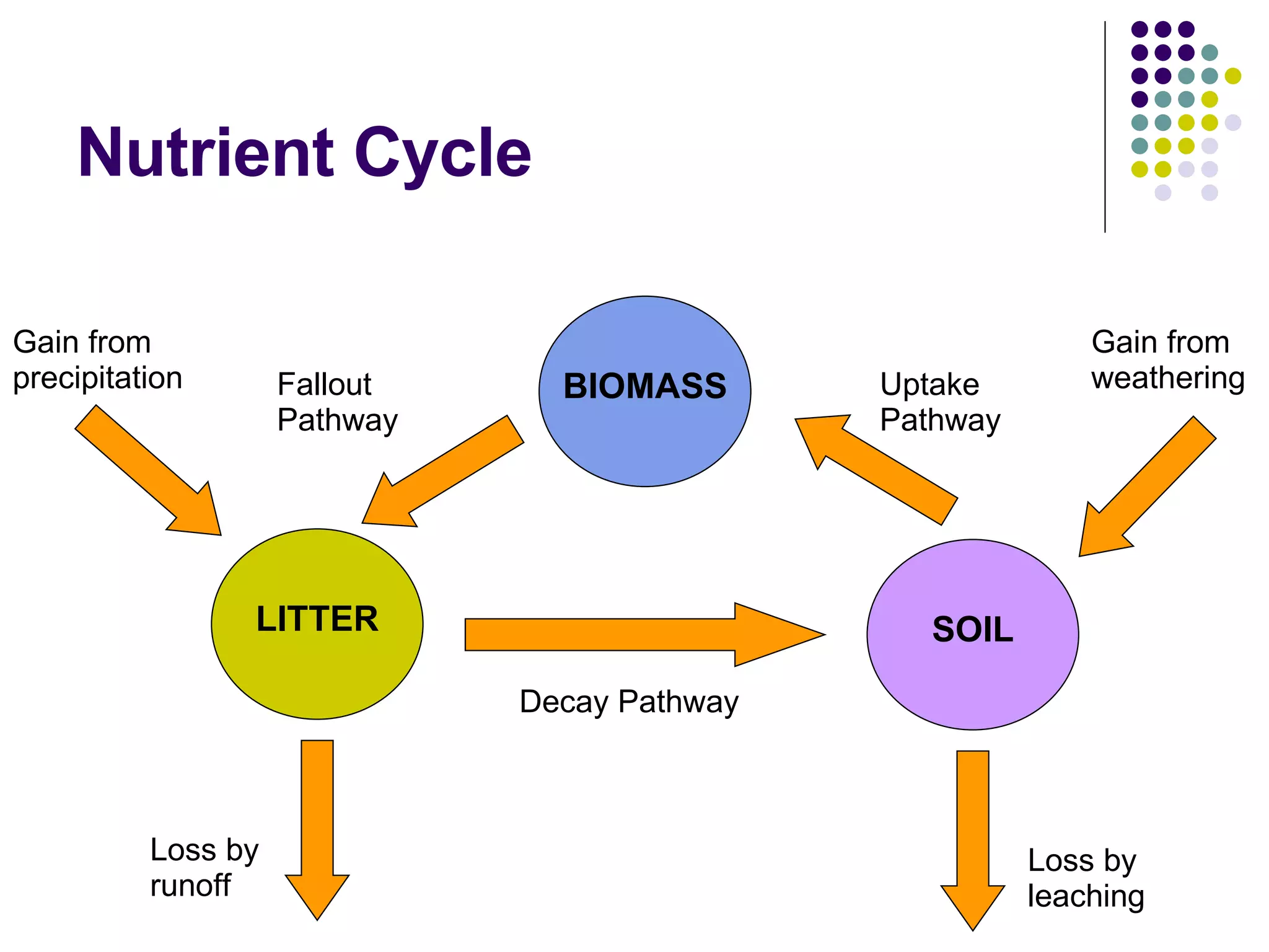 Ecosystems 3 Nutrient Cycle | PPT