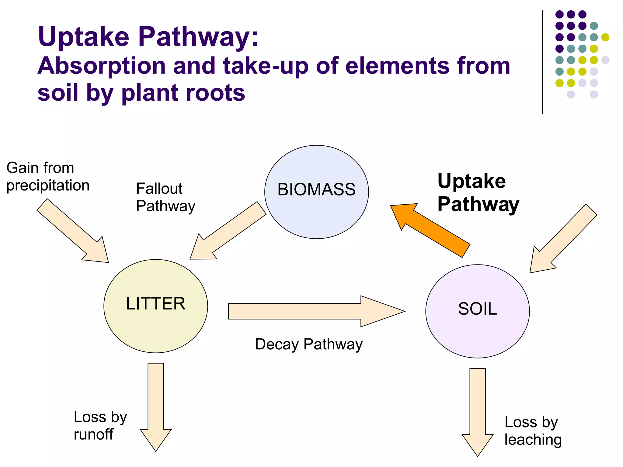 Ecosystems 3 Nutrient Cycle | PPT