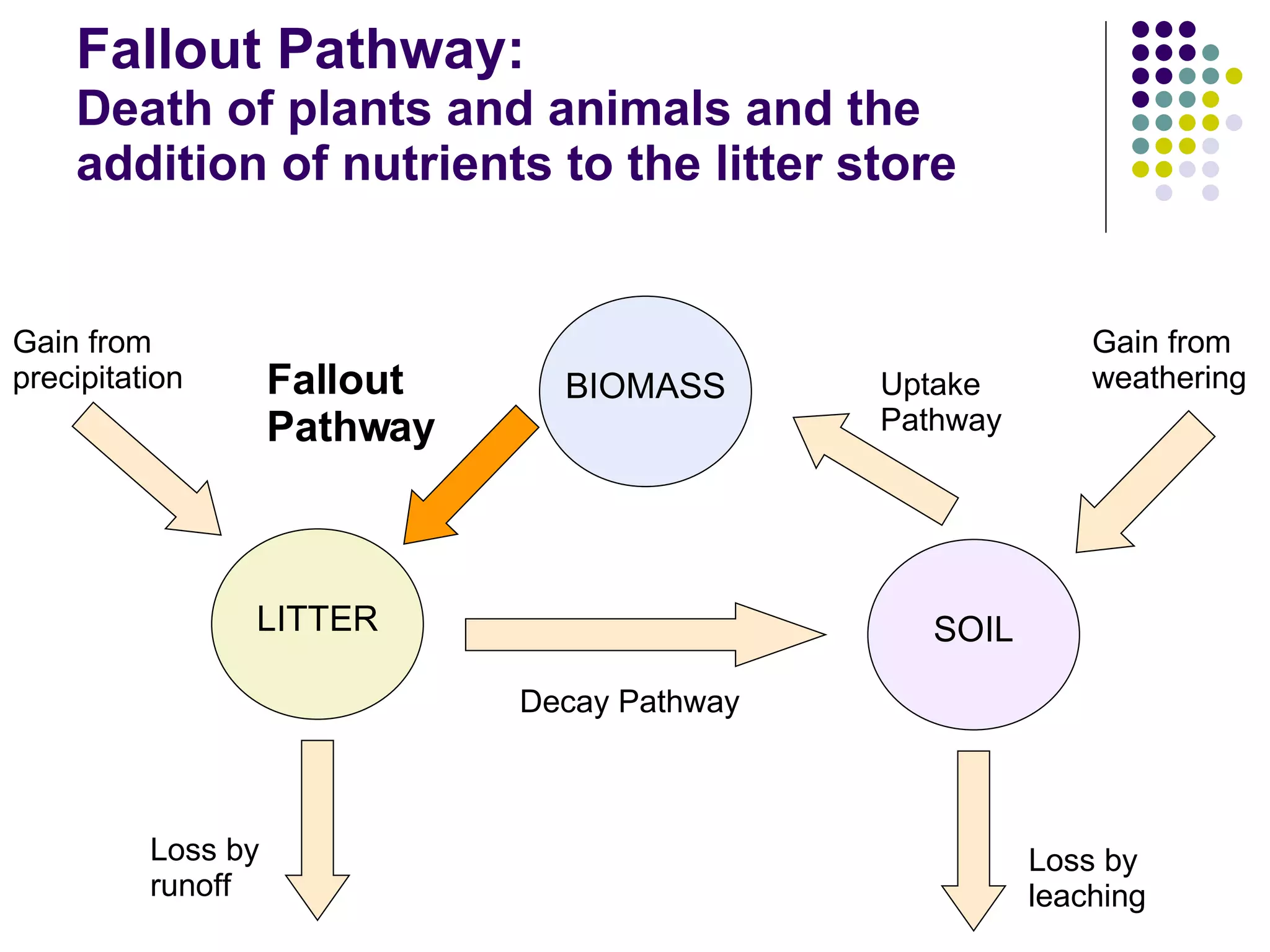 Ecosystems 3 Nutrient Cycle | PPT