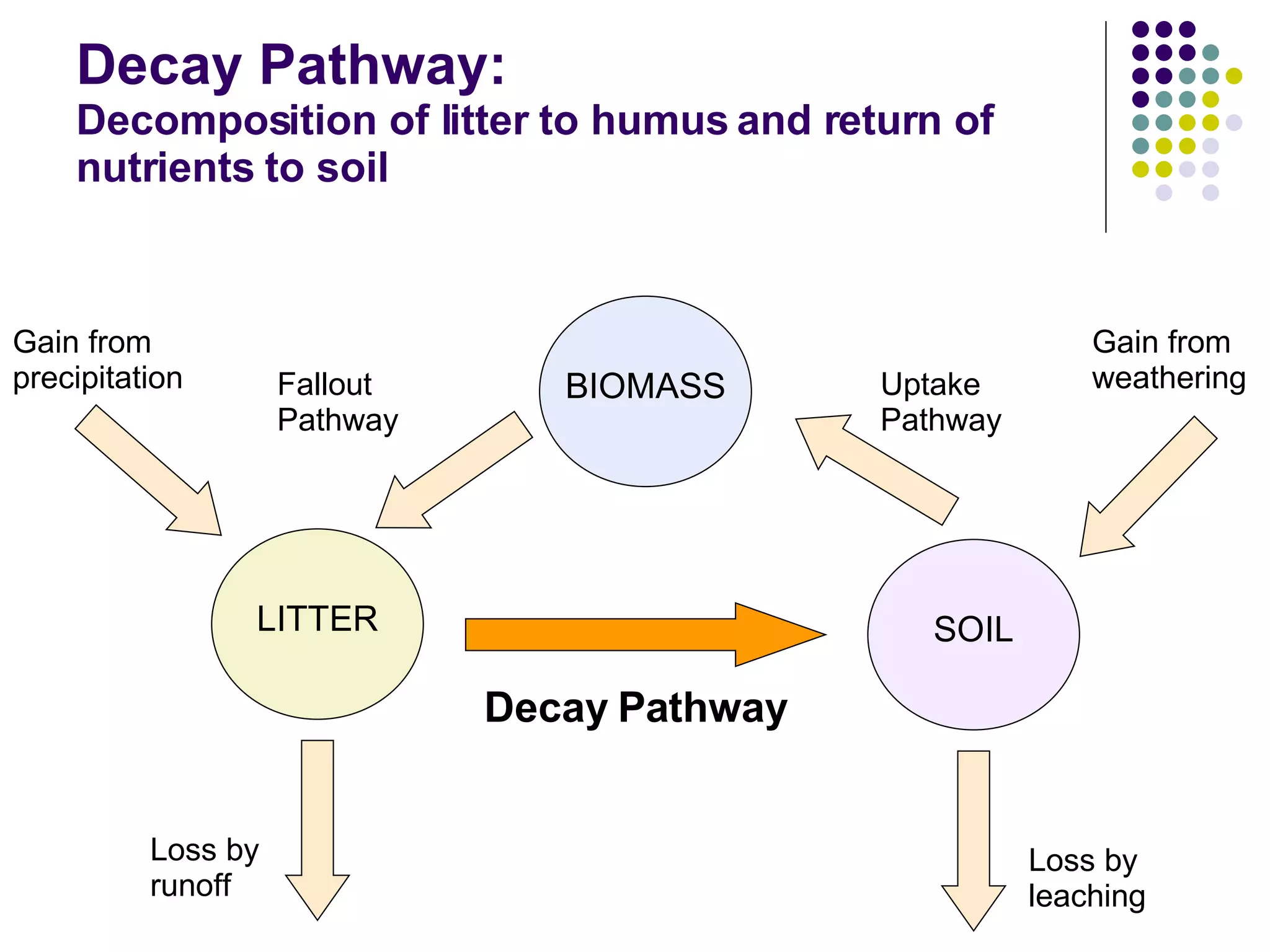 Ecosystems 3 Nutrient Cycle | PPT