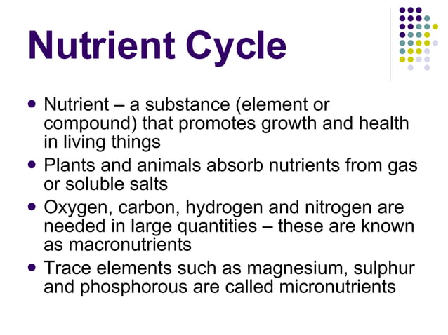 Ecosystems 3 Nutrient Cycle | PPT | Geology | Science