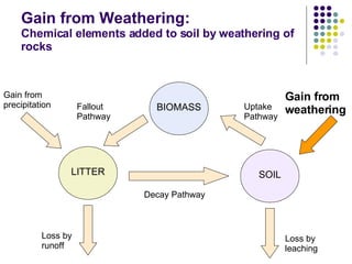 Ecosystems 3 Nutrient Cycle | PPT