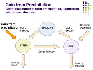 Ecosystems 3 Nutrient Cycle | PPT