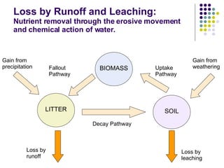 Ecosystems 3 Nutrient Cycle | PPT
