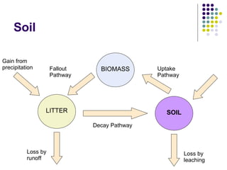 Ecosystems 3 Nutrient Cycle | PPT