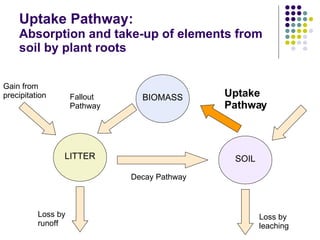 Ecosystems 3 Nutrient Cycle | PPT