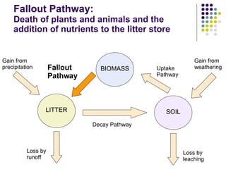 Ecosystems 3 Nutrient Cycle | PPT