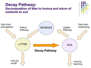 Ecosystems 3 Nutrient Cycle | PPT