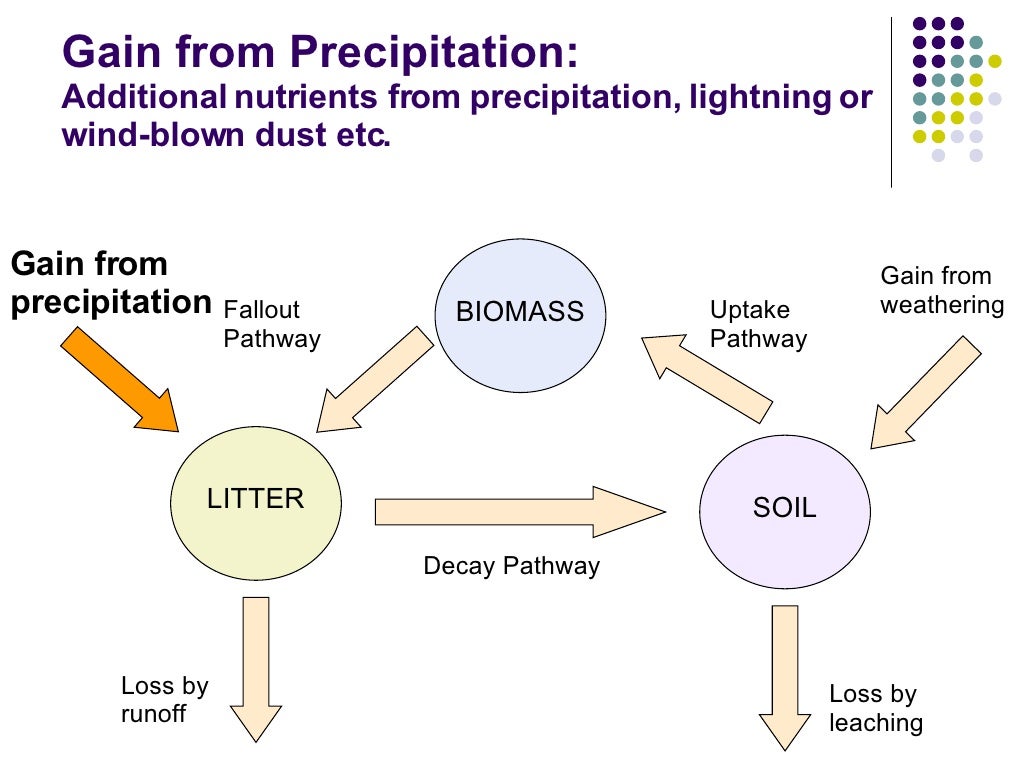 Ecosystems 3 Nutrient Cycle