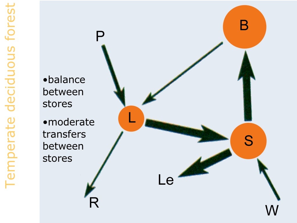 Ecosystems 3 Nutrient Cycle