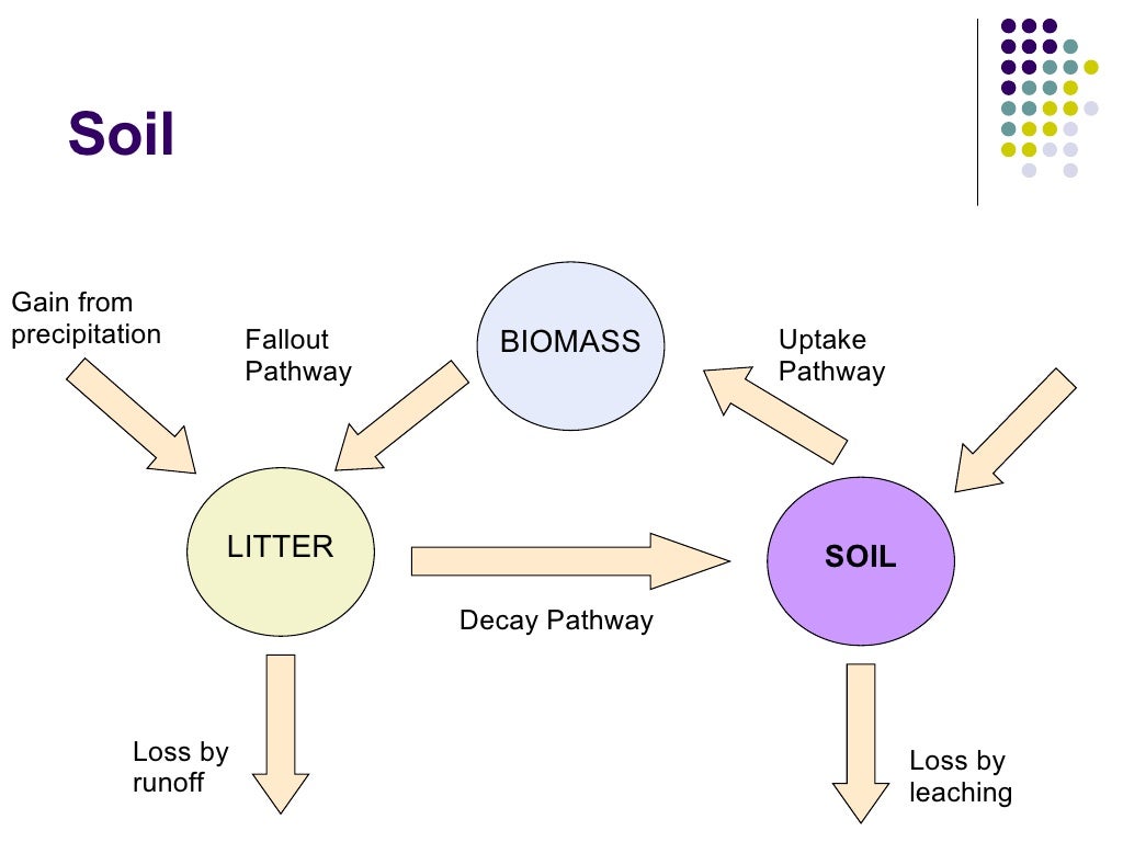 Ecosystems 3 Nutrient Cycle