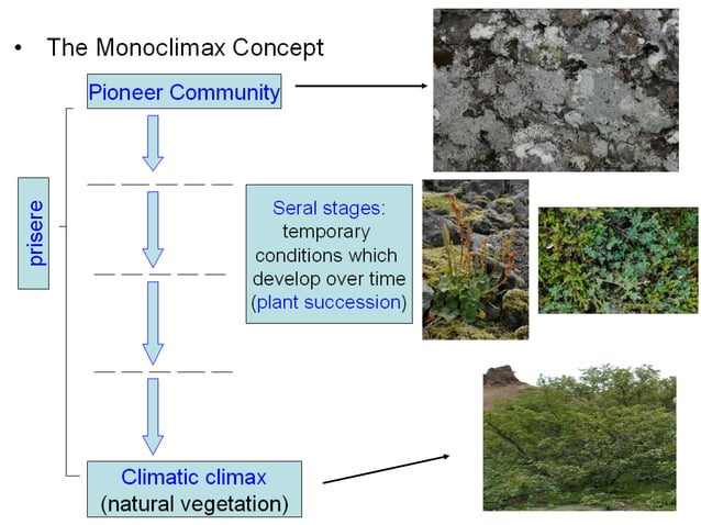 Ecosystems 7 - Plant Succession Theories | PPT | Geography | Science