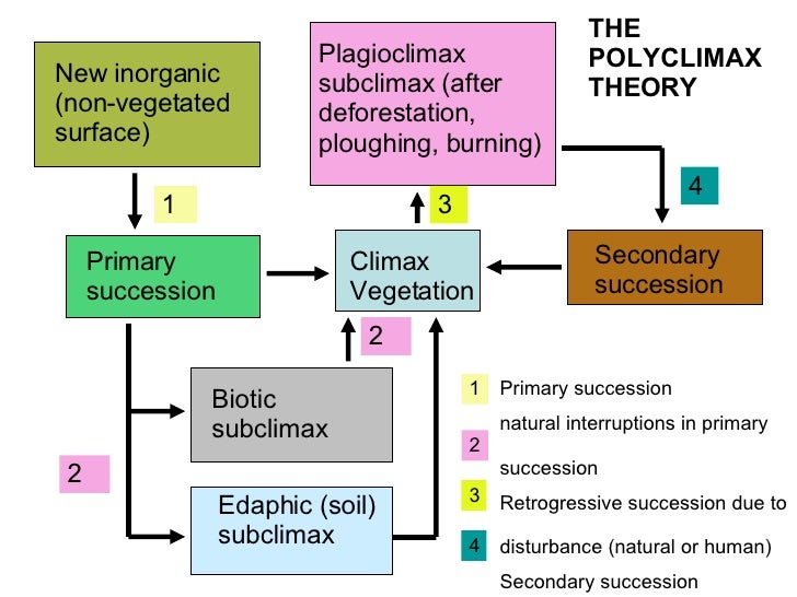 Ecosystems 7 - Plant Succession Theories