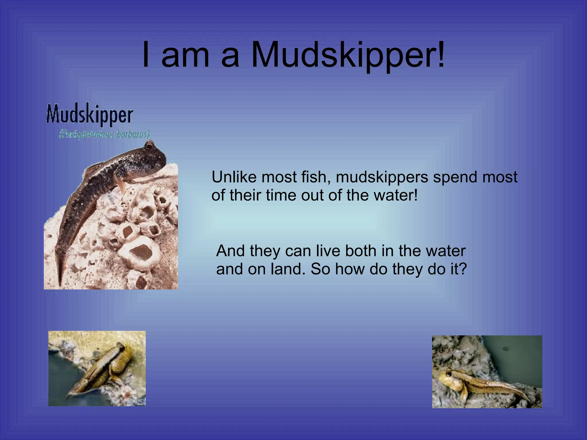 Ecosystems Are Complex | PPT