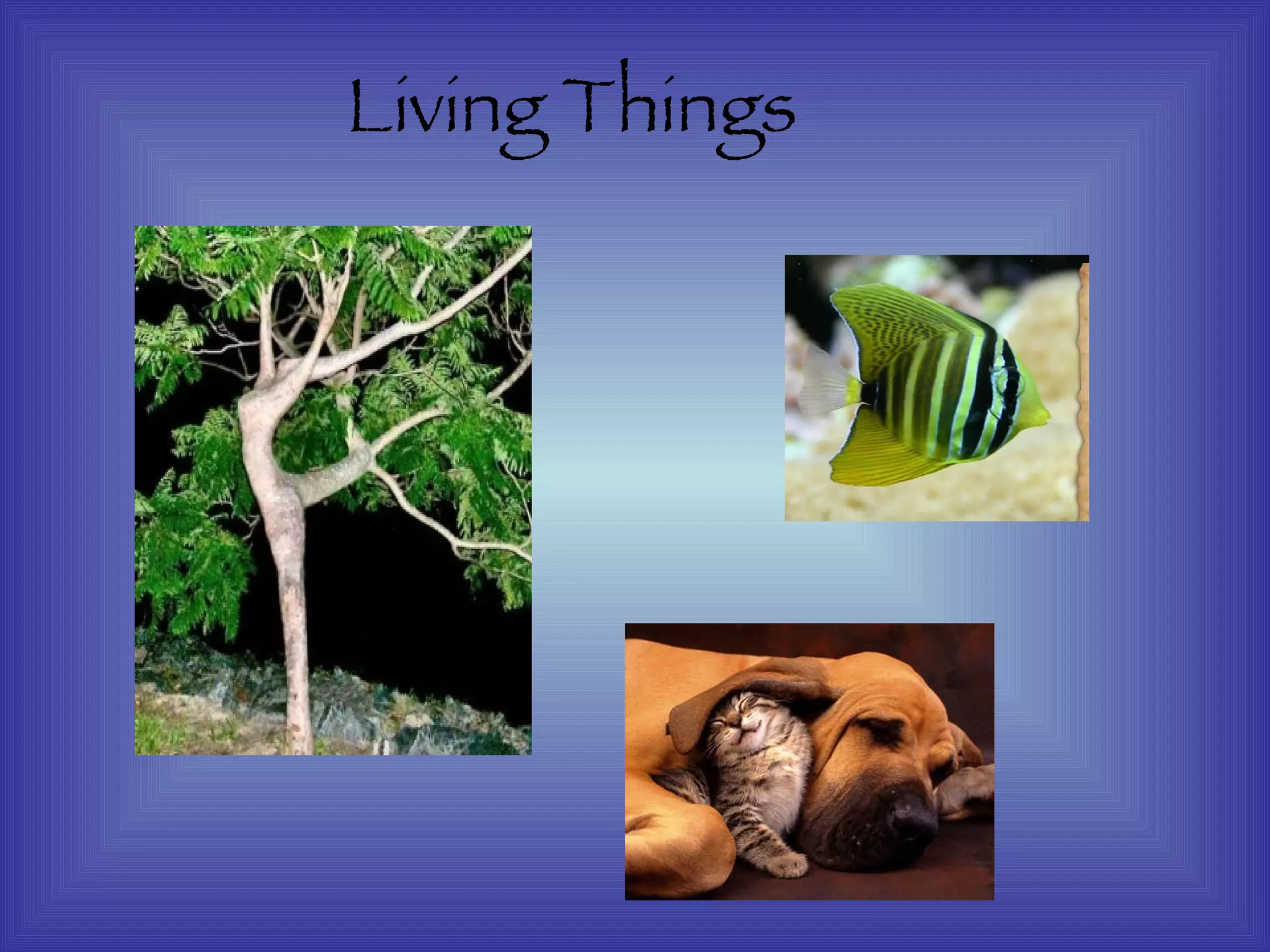 Ecosystems Are Complex | PPT