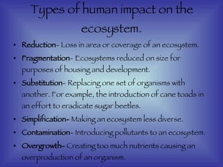 Ecosystems Are Complex | PPT