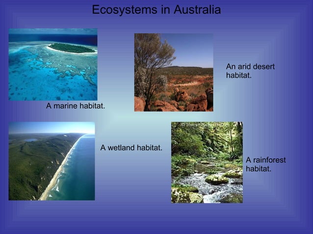 Ecosystems Are Complex | PPT