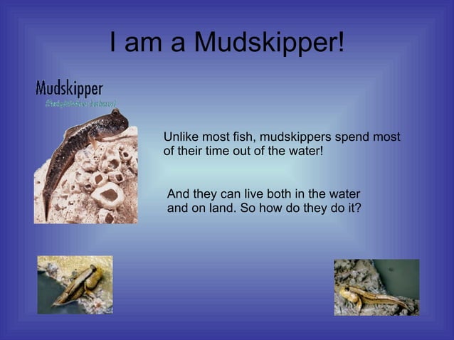 Ecosystems Are Complex | PPT