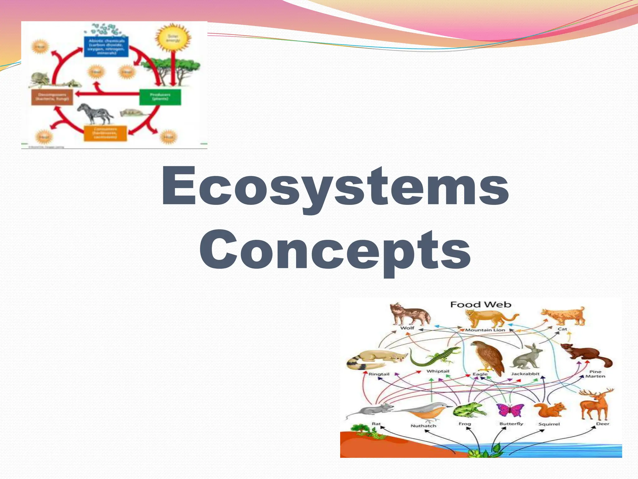 ecosystems-concepts.pptx
