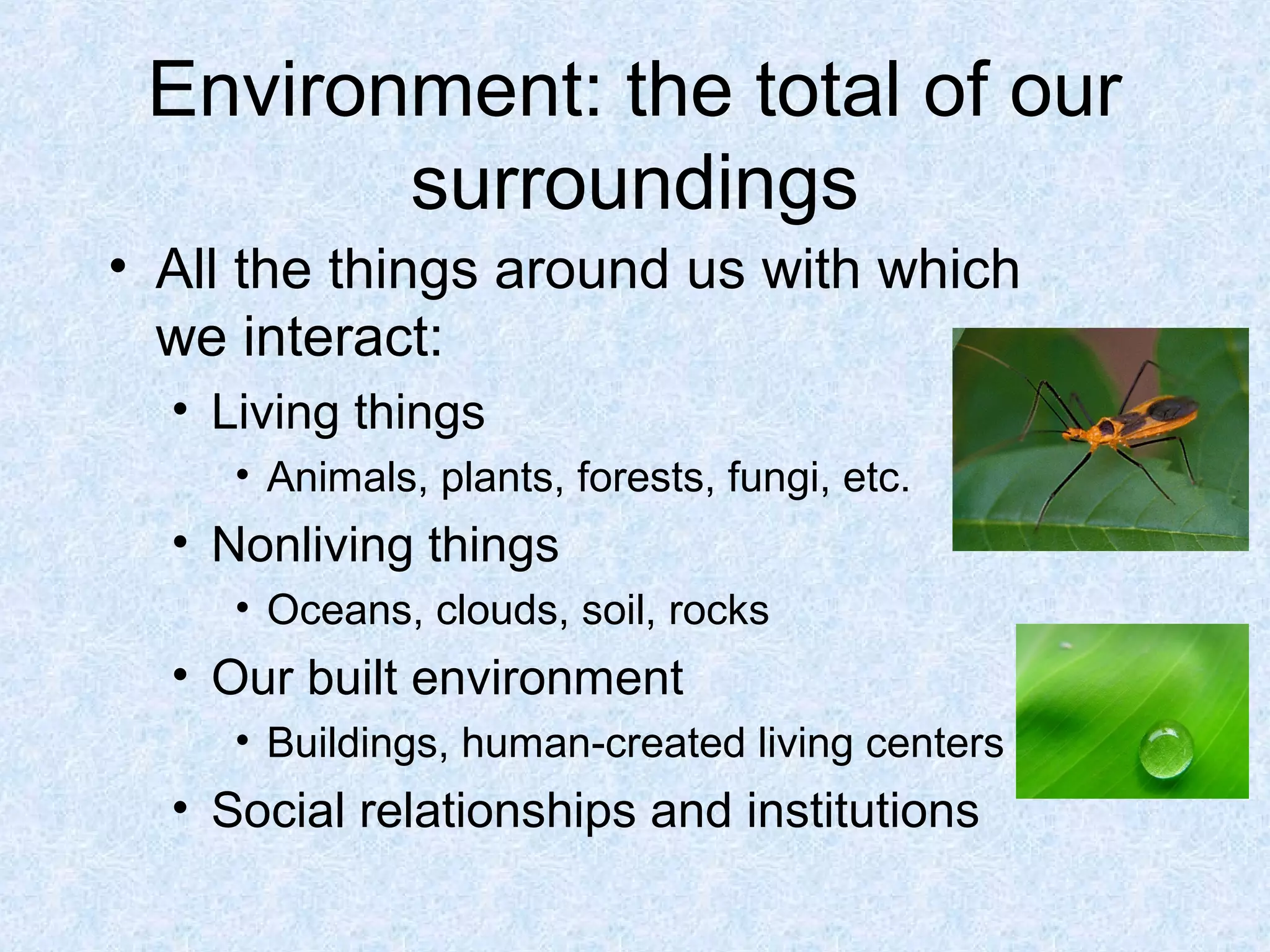 environmental science and ecosystem | PPT | Geography | Science