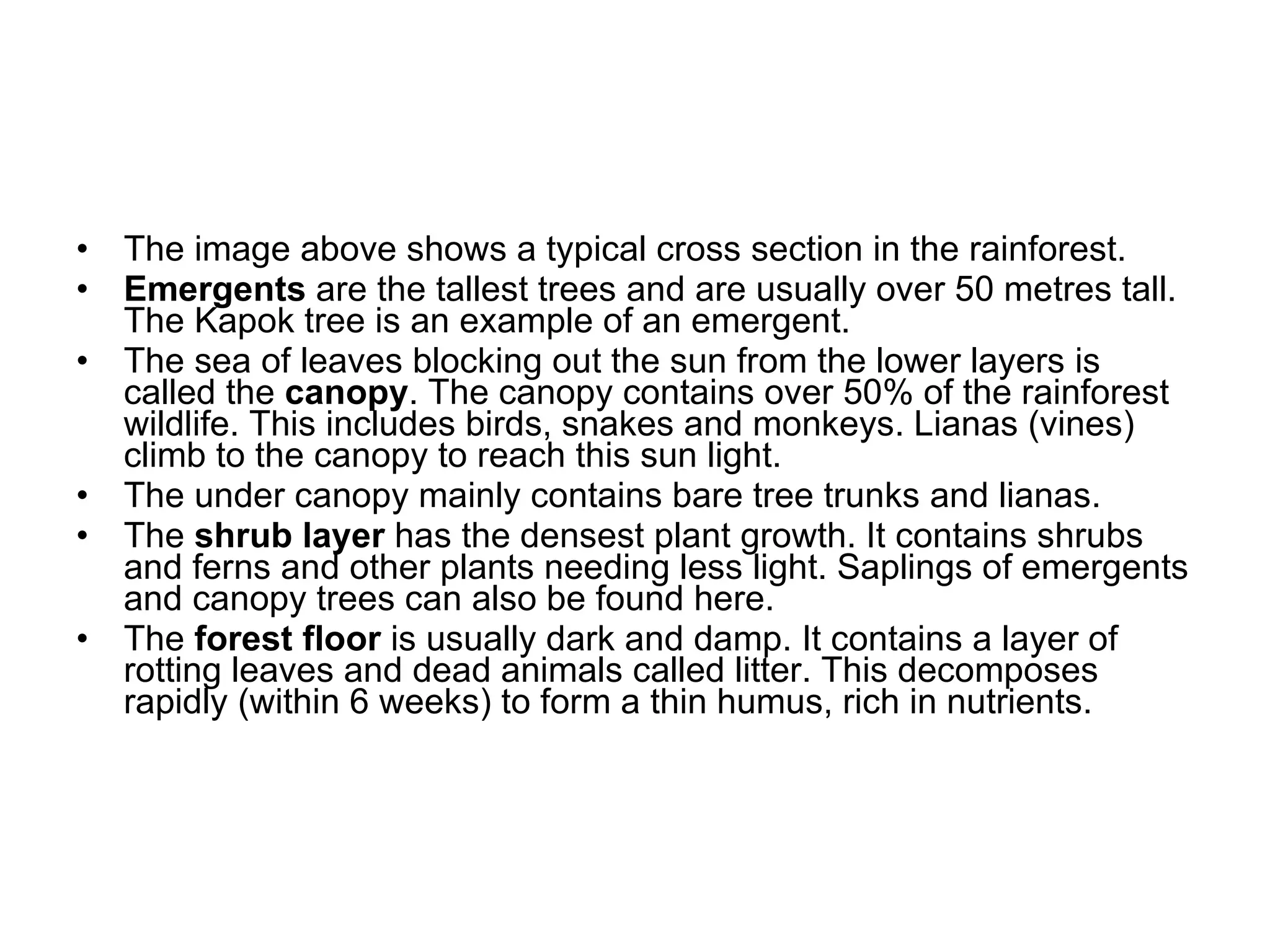 Ecosystems Lesson I | PPT | Geography | Science