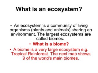 Ecosystems Lesson I | PPT | Geography | Science