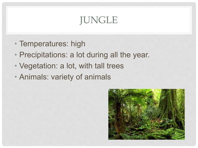 Ecosystems part 2 | PPT