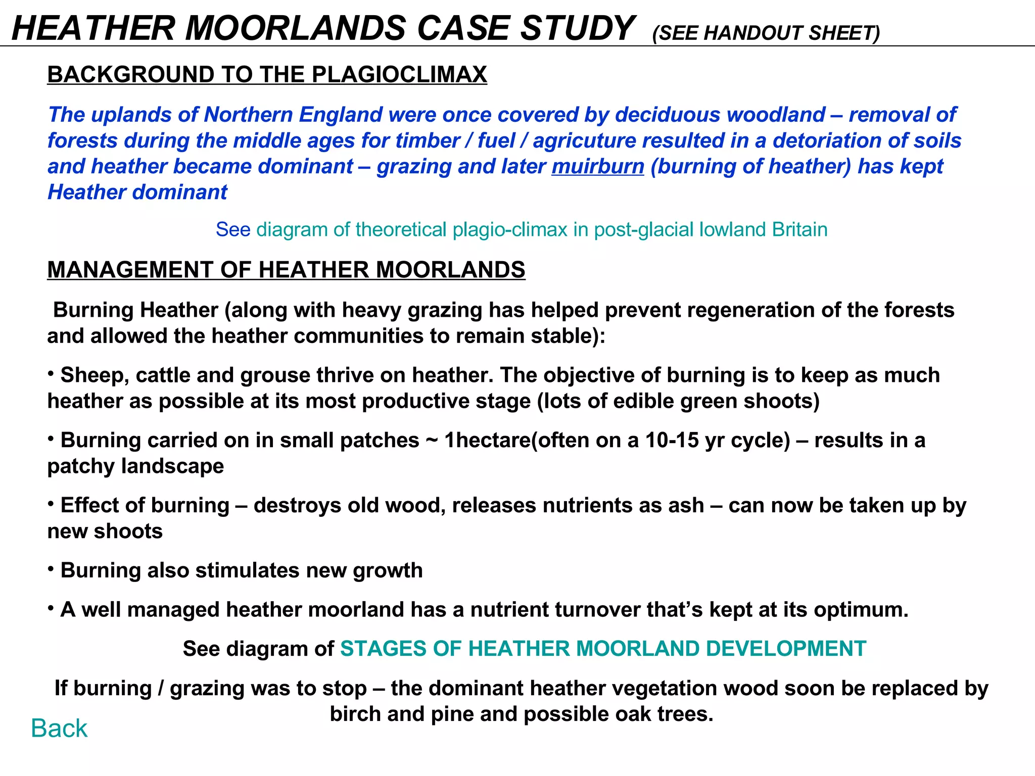 Ecosystems - Succession and Key Terms | PPT