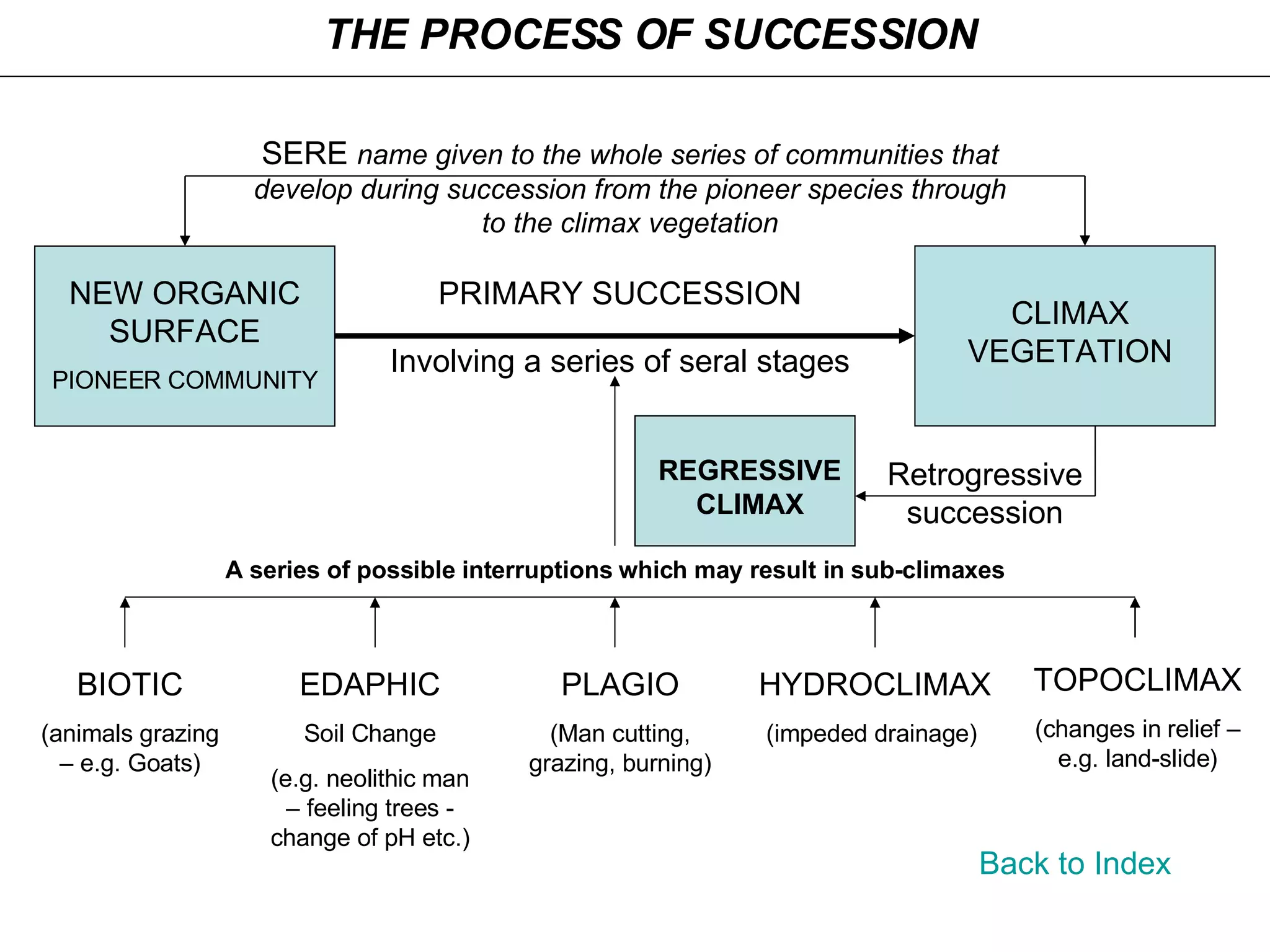 Ecosystems - Succession and Key Terms | PPT