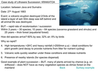 Ecosystems - Succession and Key Terms | PPT