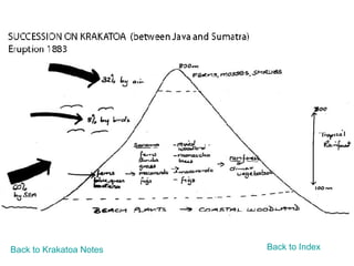 Ecosystems - Succession and Key Terms | PPT